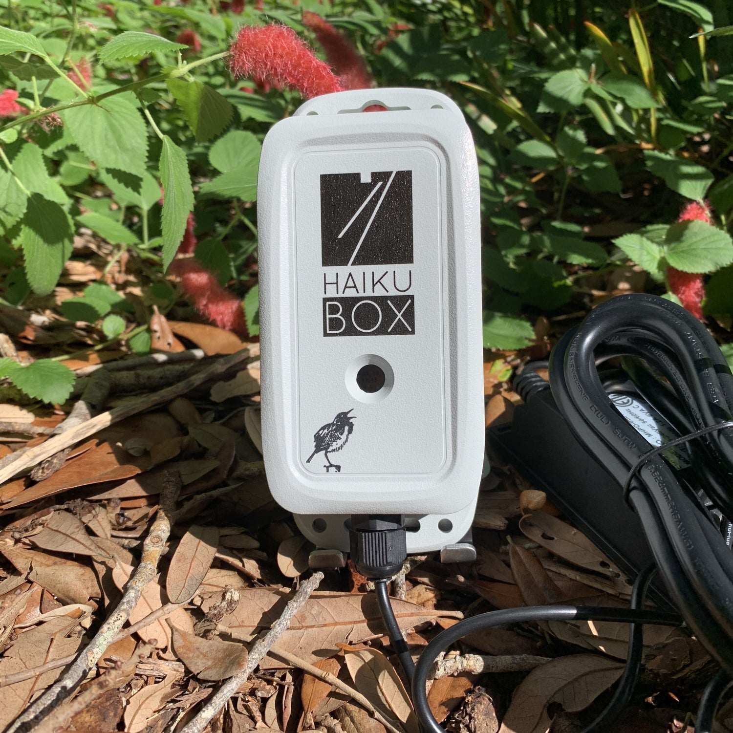 Collections – Haikubox