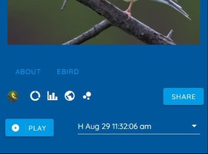 Support | Haikubox Videos and Step-by Step Guides