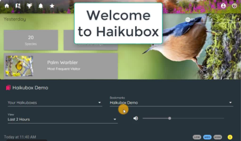 Support | Haikubox Videos and Step-by Step Guides