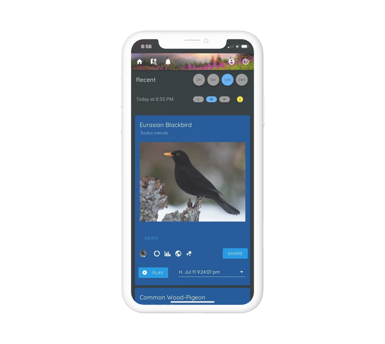 Media Kit| Haikubox, Bird Call Recognition App